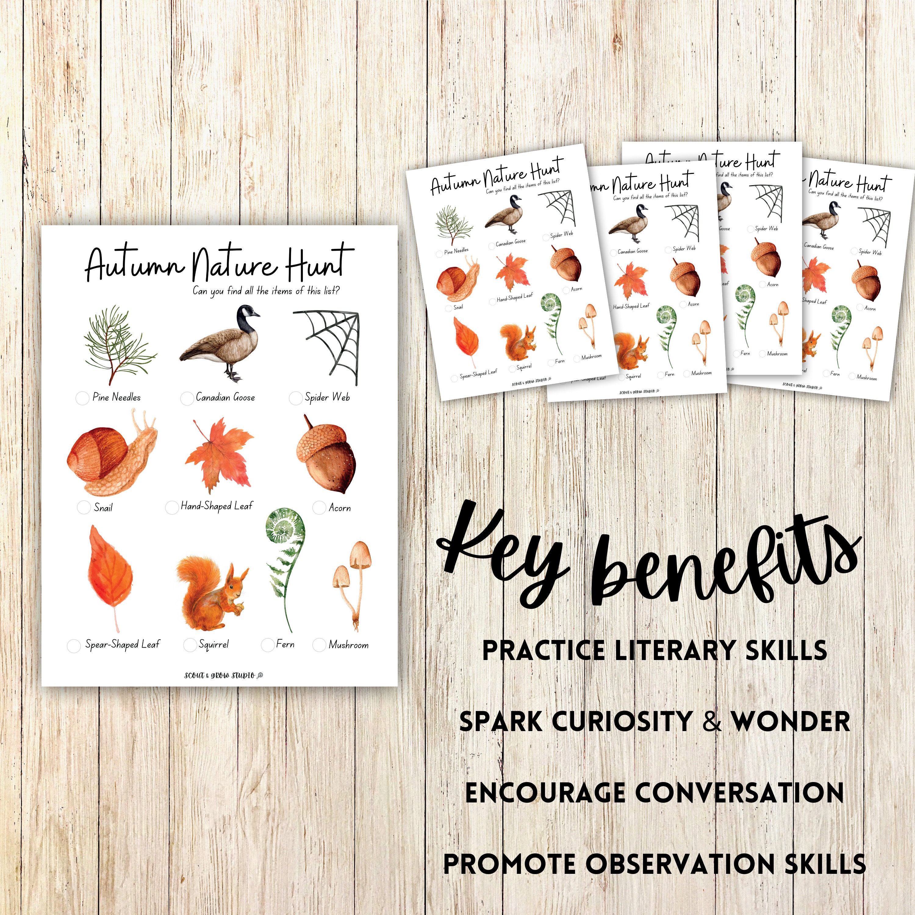 AUTUMN Nature Scavenger Hunt, Printable PDF, Nature Study, Instant ...