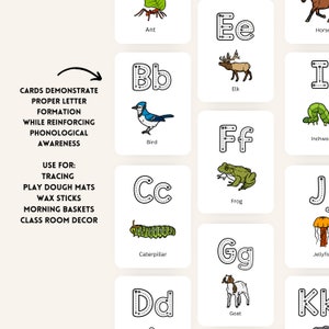 Alphabet Tracing Cards, ABC Flash Cards, Homeschool Printable Nature ...