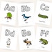 Alphabet Tracing Cards, ABC Flash Cards, Homeschool Printable Nature ...