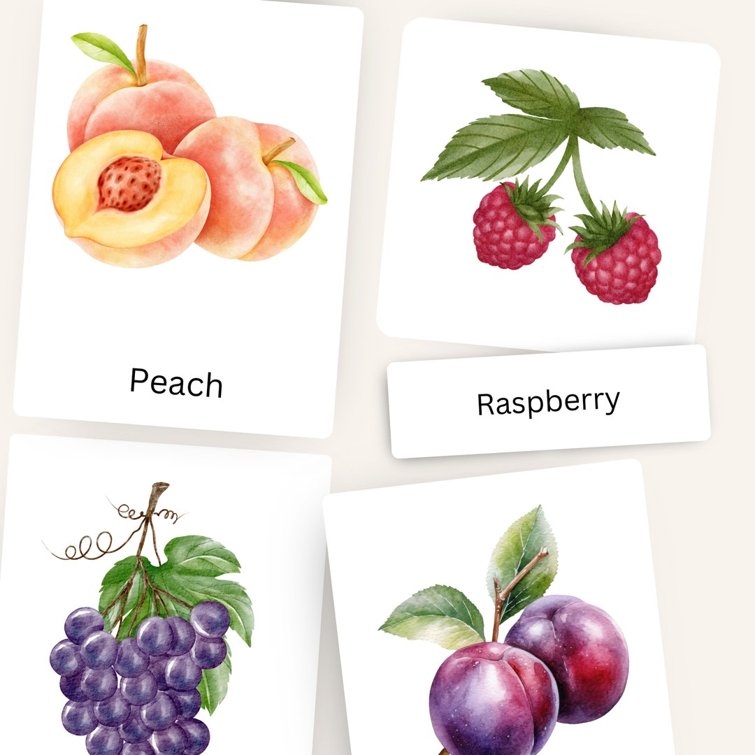 Fruit 3 Part Cards PDF, Montessori Nomenclature Cards, Preschool ...