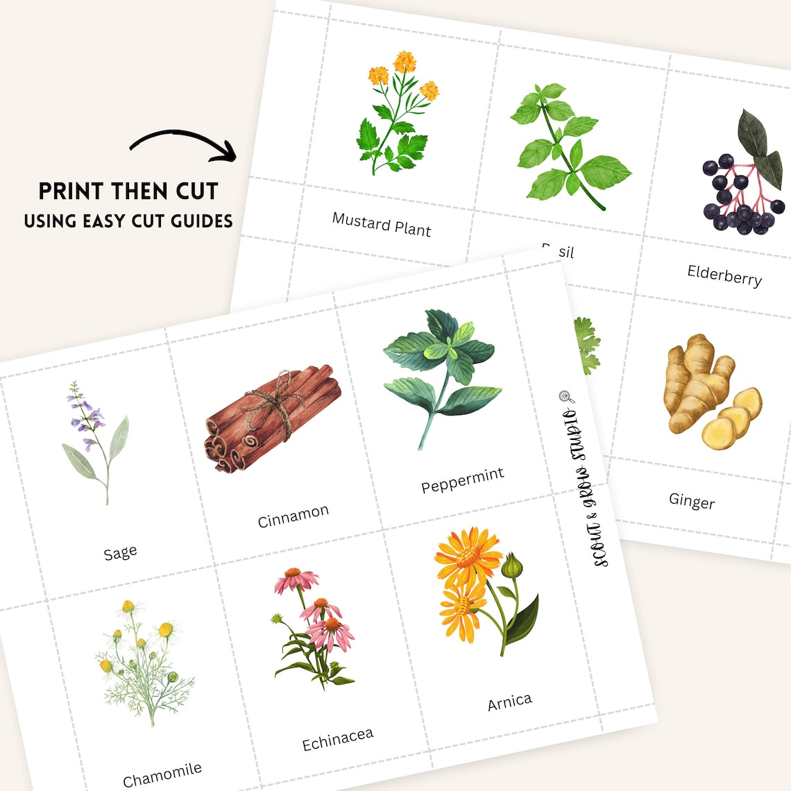 Herb Flash Cards, Printable Montessori Homeschool Resources or ...