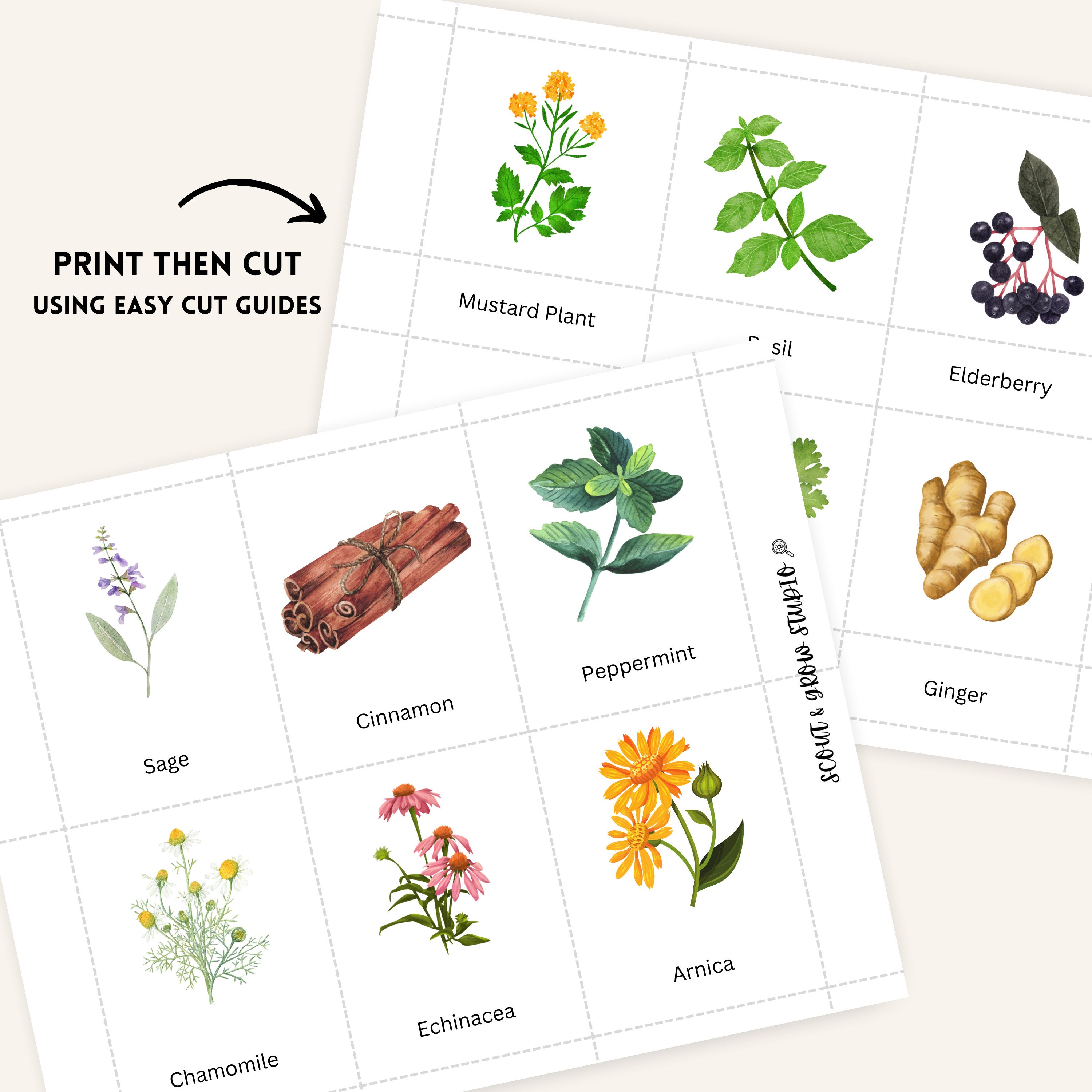 Herb Flash Cards, Printable Montessori Homeschool Resources or ...