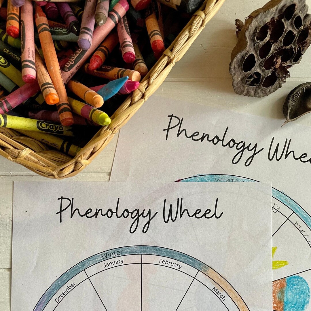 Phenology Wheel Nature Study Printable Instant Download Charlotte Mason ...