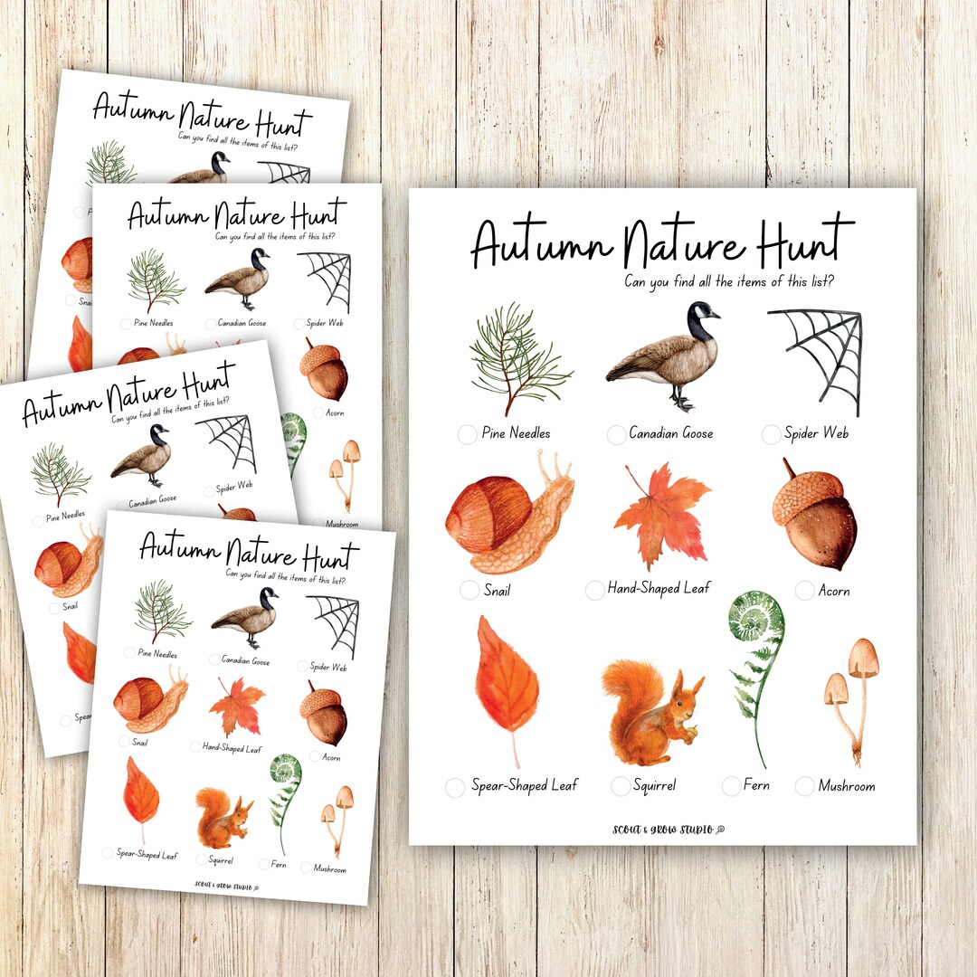 AUTUMN Nature Scavenger Hunt, Printable PDF, Nature Study, Instant ...
