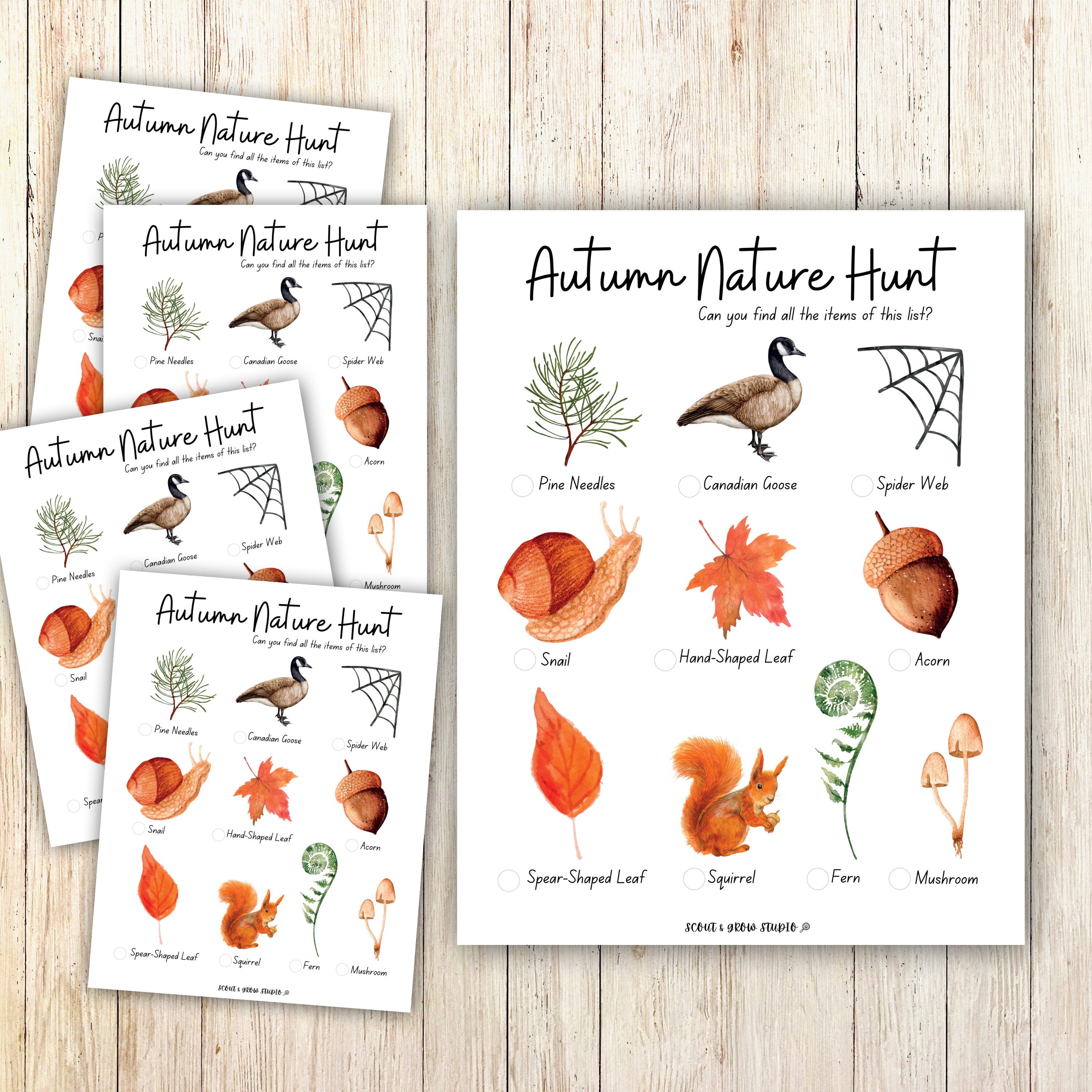 AUTUMN Nature Scavenger Hunt, Printable PDF, Nature Study, Instant ...