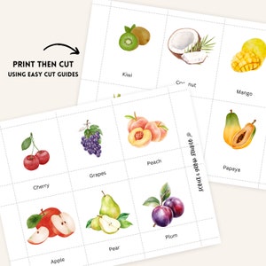 Fruit 3 Part Cards PDF, Montessori Nomenclature Cards, Preschool ...