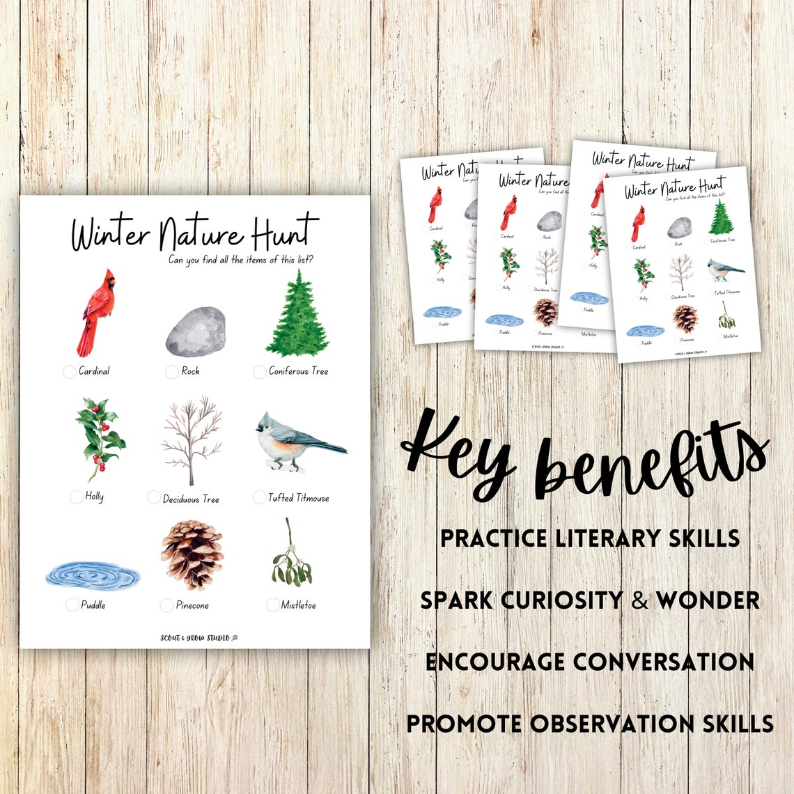 Scavenger Hunt for Kids Winter, Nature Study, Printable PDF, Digital ...