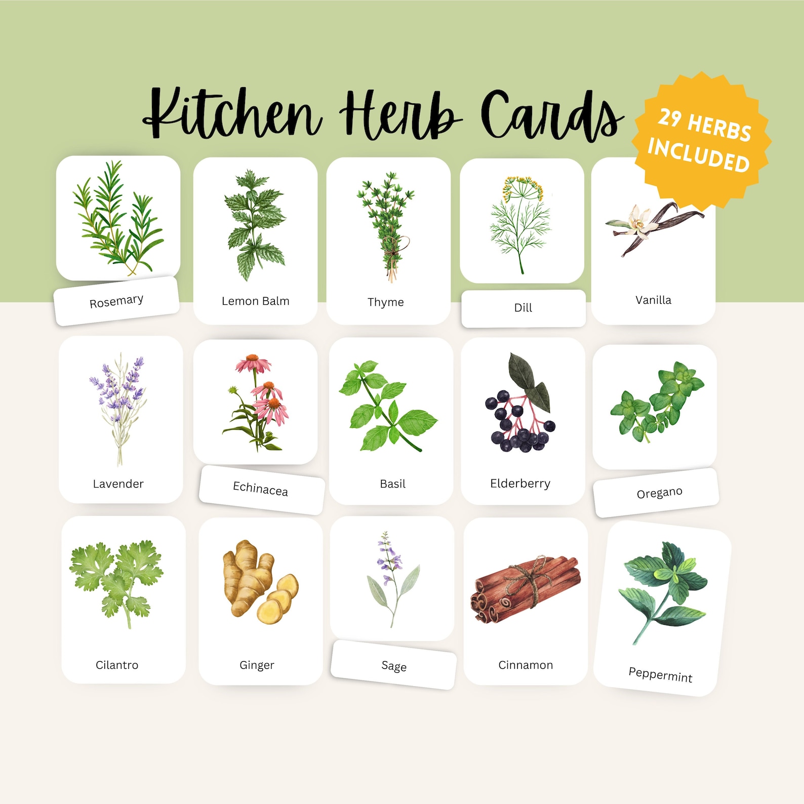 Herb Flash Cards, Printable Montessori Homeschool Resources or ...