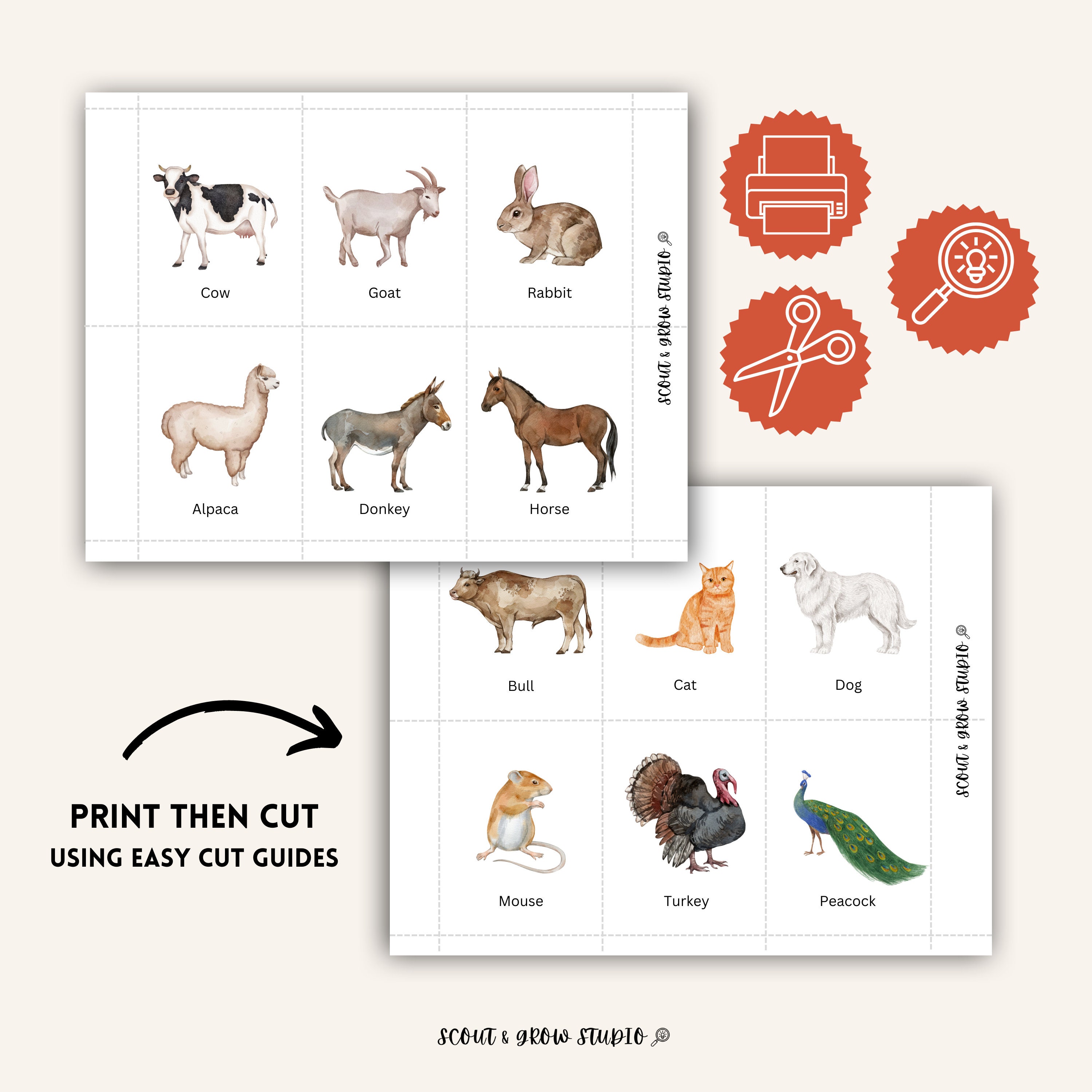 Farm Animal Flash Cards Homeschool Printable, Digital Download ...