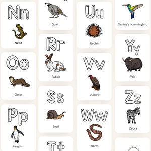 Alphabet Tracing Cards, ABC Flash Cards, Homeschool Printable Nature ...