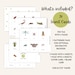 Insect Flash Cards Montessori or Charlotte Mason Nature Study Printable ...
