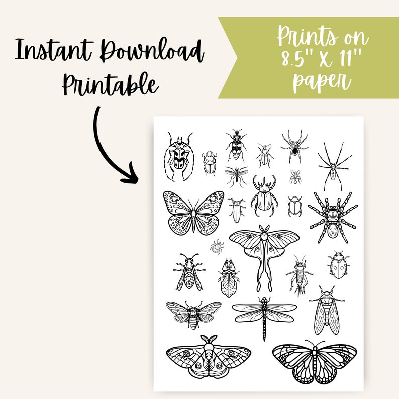 Insect Coloring Page, Printable Coloring Page, Instant Download - Etsy UK