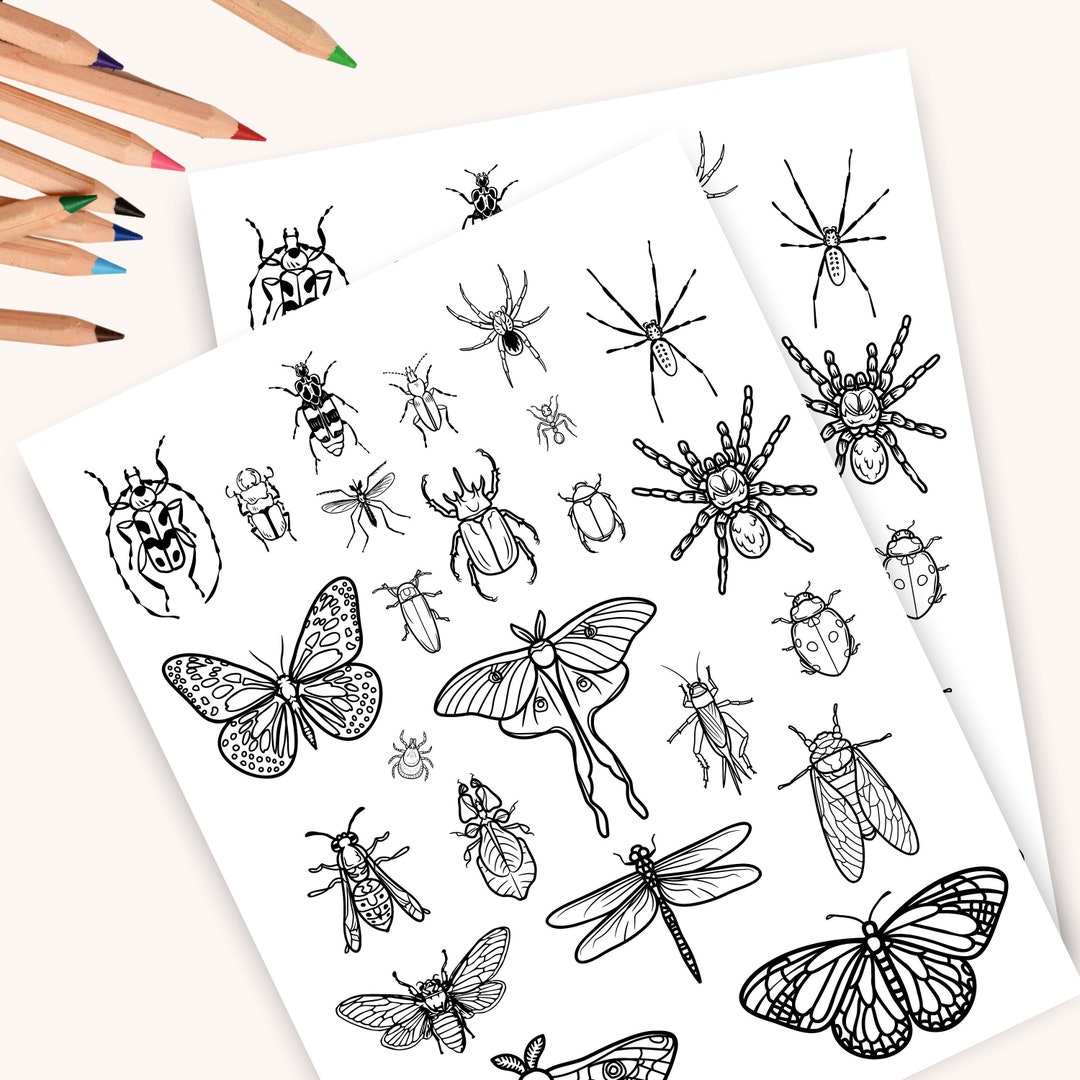 Insect Coloring Page, Printable Coloring Page, Instant Download - Etsy