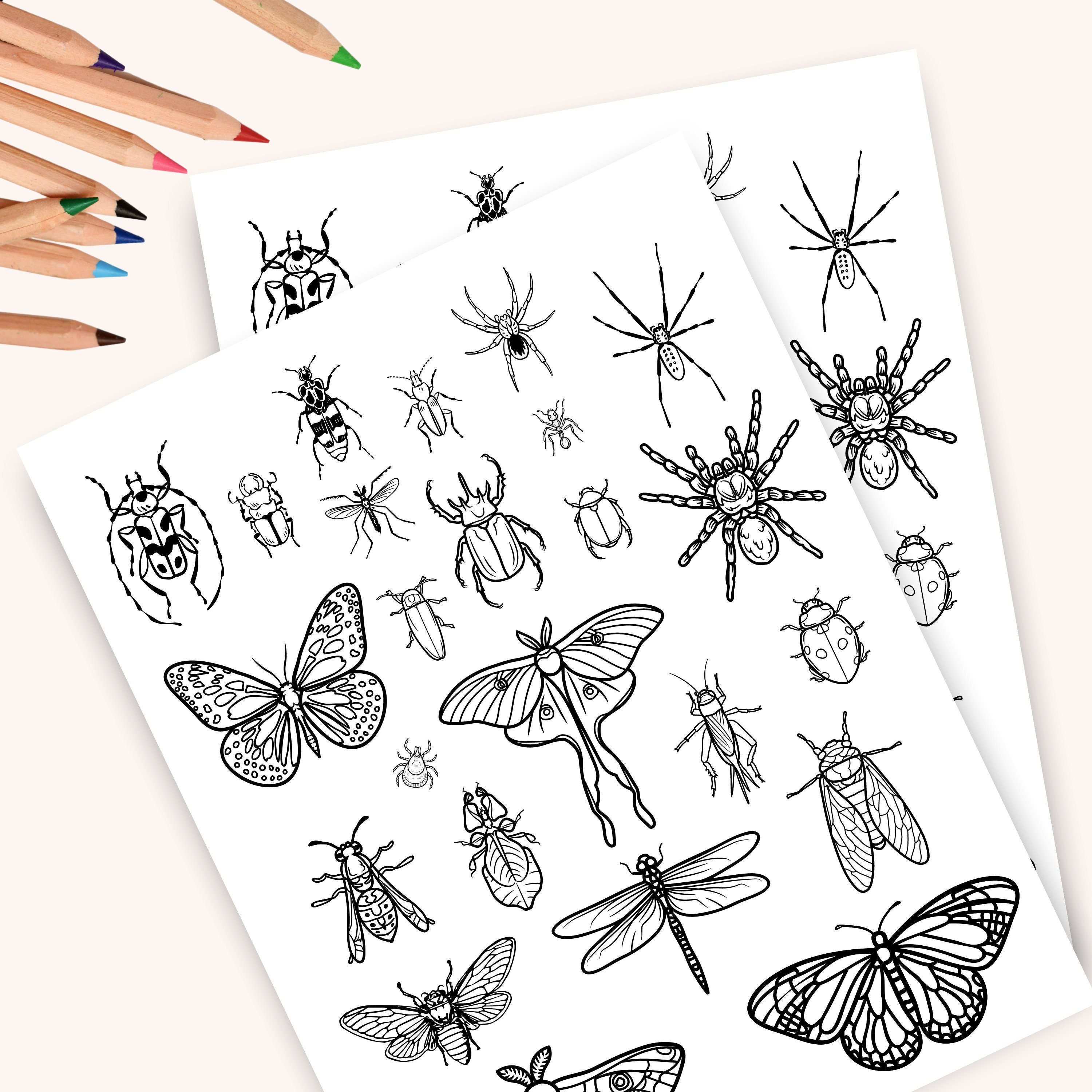 insect-coloring-page-printable-coloring-page-instant-etsy-australia