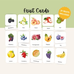 Fruit 3 Part Cards PDF, Montessori Nomenclature Cards, Preschool ...