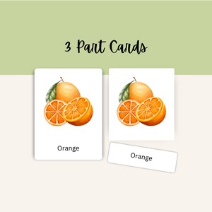 Fruit 3 Part Cards PDF, Montessori Nomenclature Cards, Preschool ...
