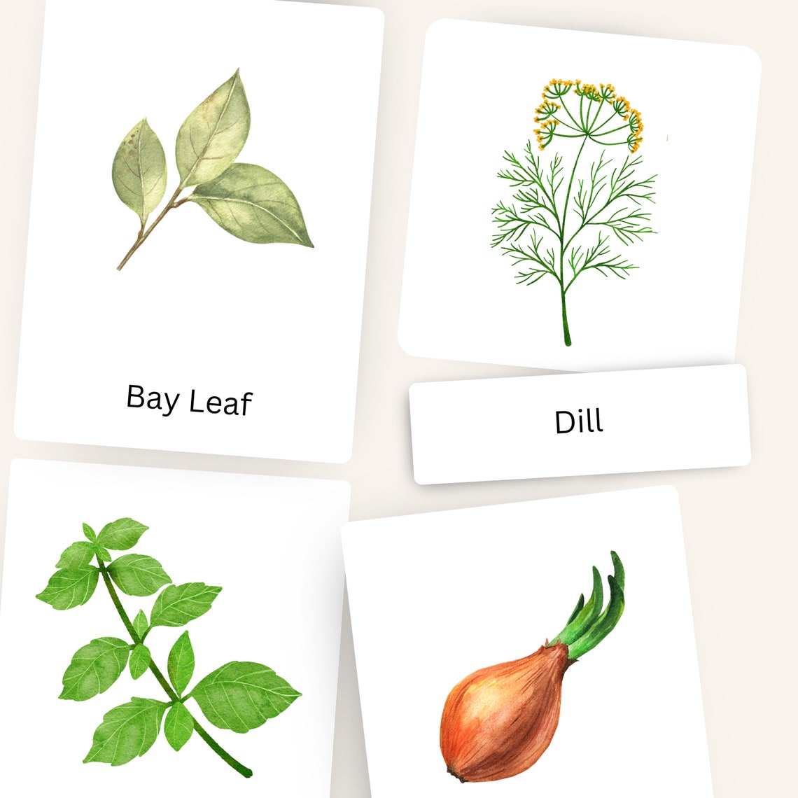 Herb Flash Cards, Printable Montessori Homeschool Resources or ...