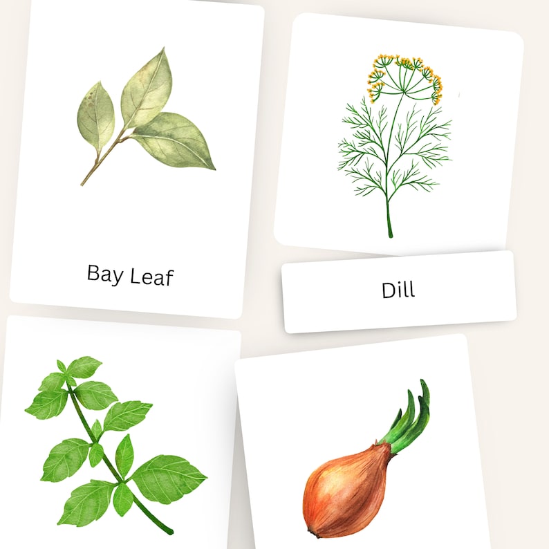 Herb Flash Cards, Printable Montessori Homeschool Resources or ...