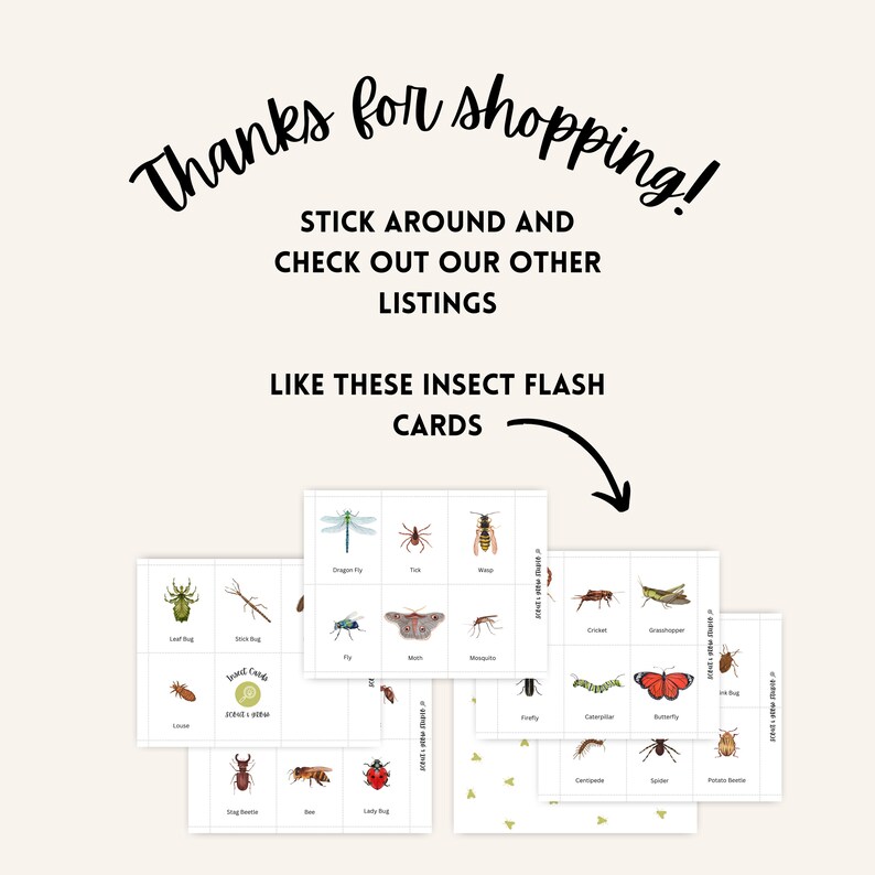 Butterfly Coloring Page, Moth Coloring Page, Charlotte Mason Homeschool ...