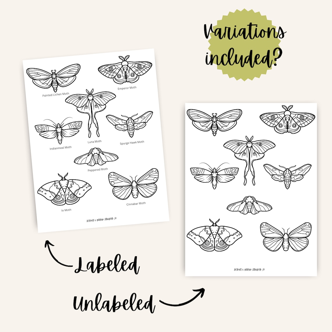 Butterfly Coloring Page, Moth Coloring Page, Charlotte Mason Homeschool ...