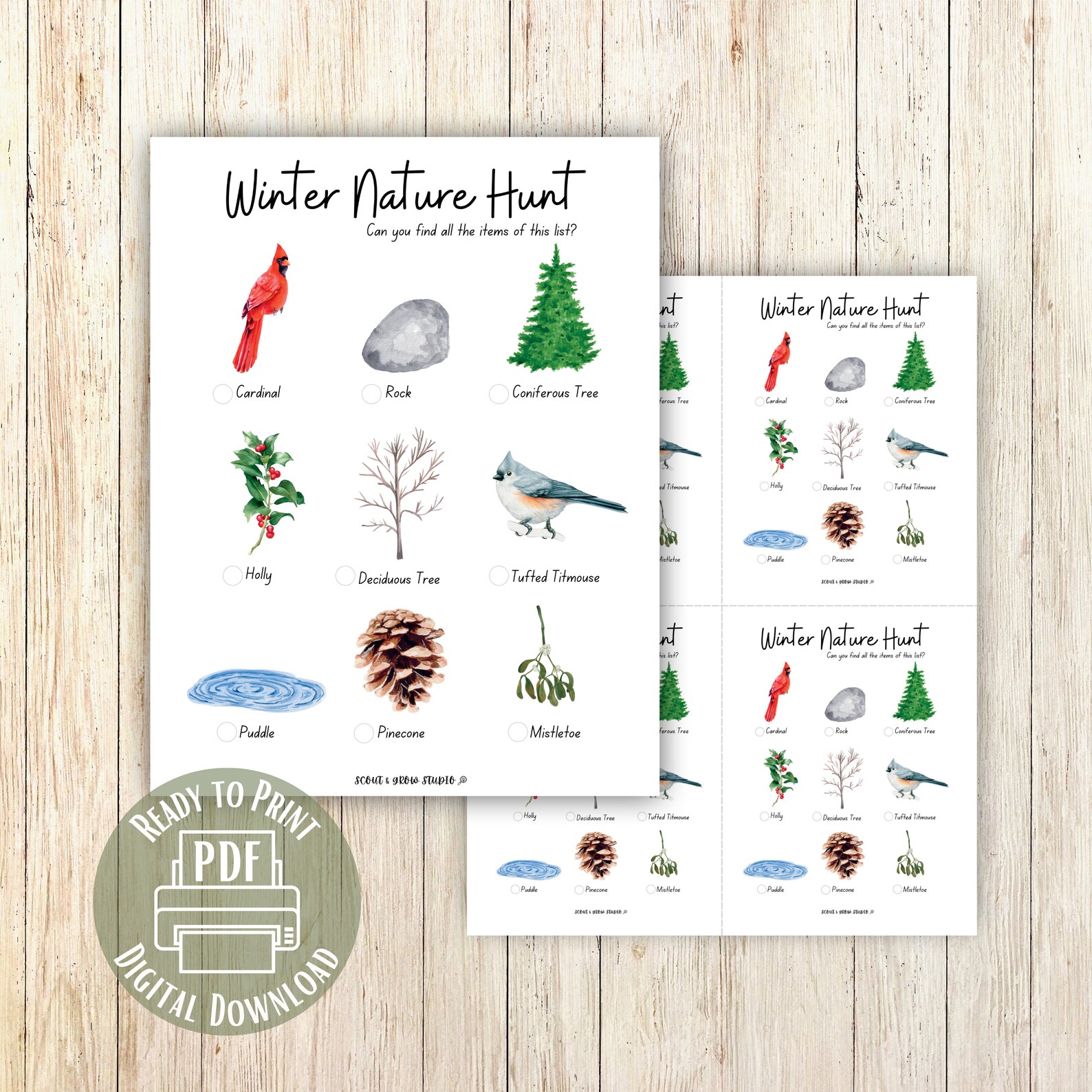 Scavenger Hunt for Kids Winter, Nature Study, Printable PDF, Digital ...