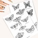 Insect Flash Cards Montessori or Charlotte Mason Nature Study Printable ...