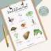 Nature Scavenger Hunt for Kids, Charlotte Mason Inspired Ponds Nature ...