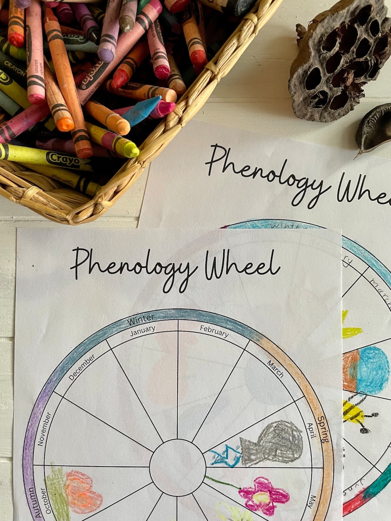 Nature Observation Sheet Phenology Wheel Nature Study Printable Instant ...