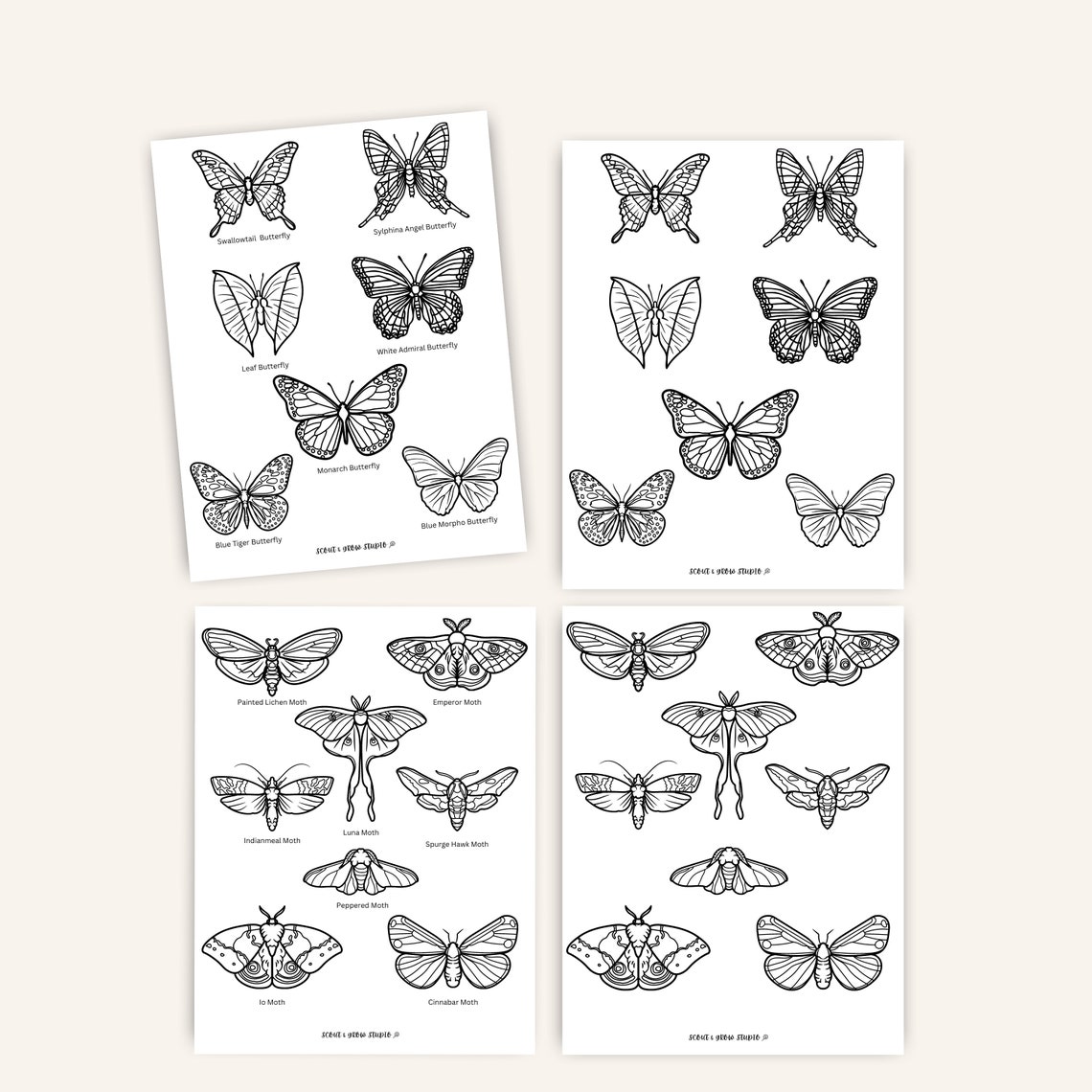 Butterfly Coloring Page, Moth Coloring Page, Charlotte Mason Homeschool ...