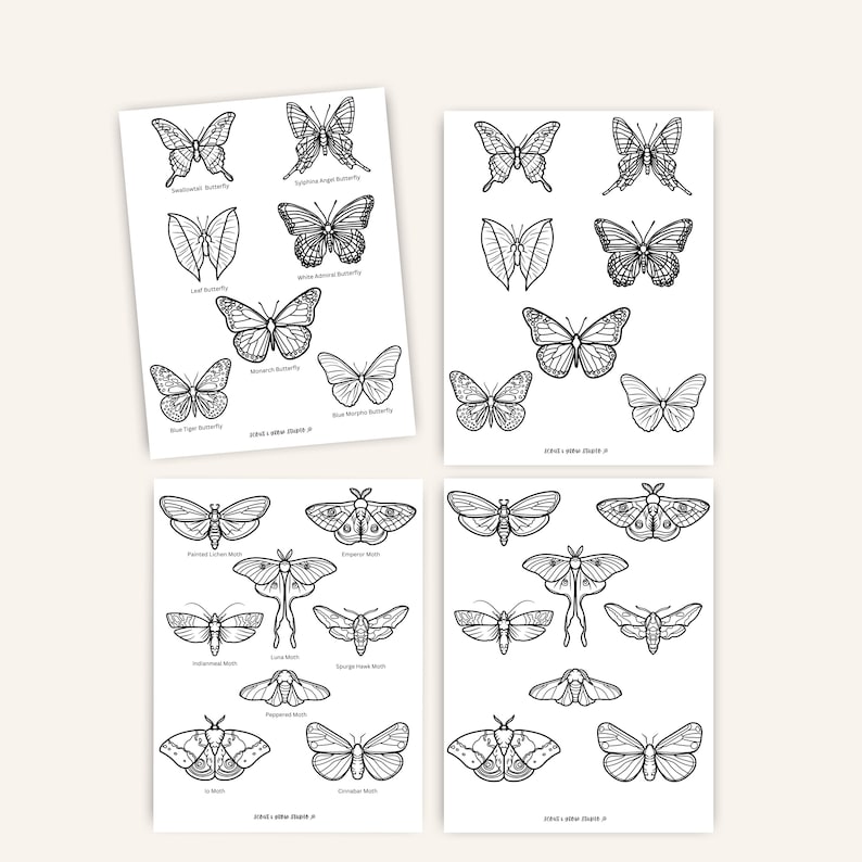 Butterfly Coloring Page, Moth Coloring Page, Charlotte Mason Homeschool ...