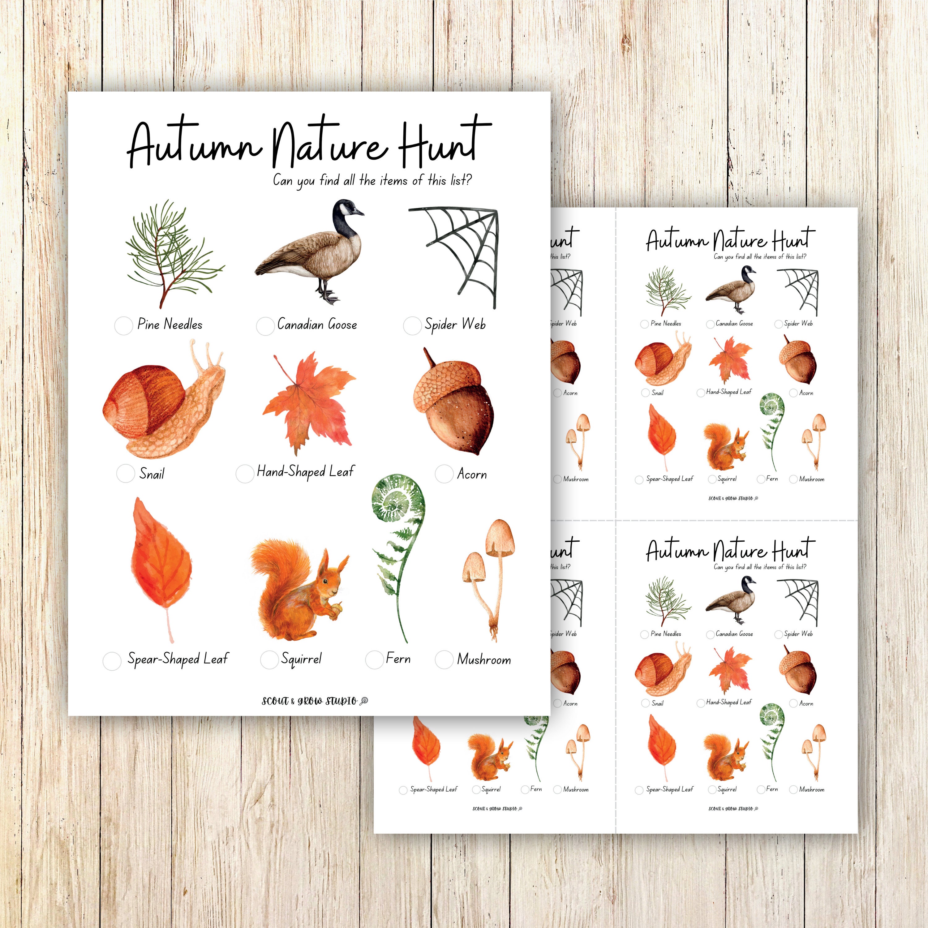 Nature Scavenger Hunt for Kids Nature Study Instant Download Four ...