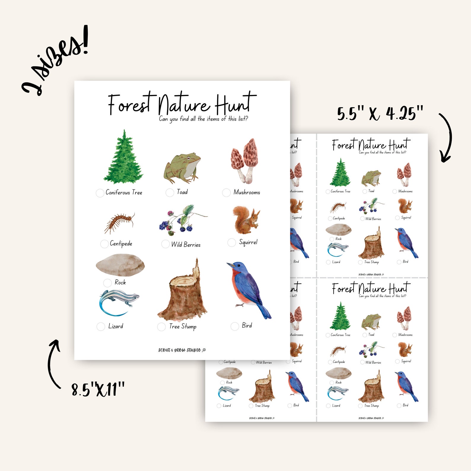 Nature Study Forest Scavenger Hunt for Kids, Nature Scavenger Hunt ...