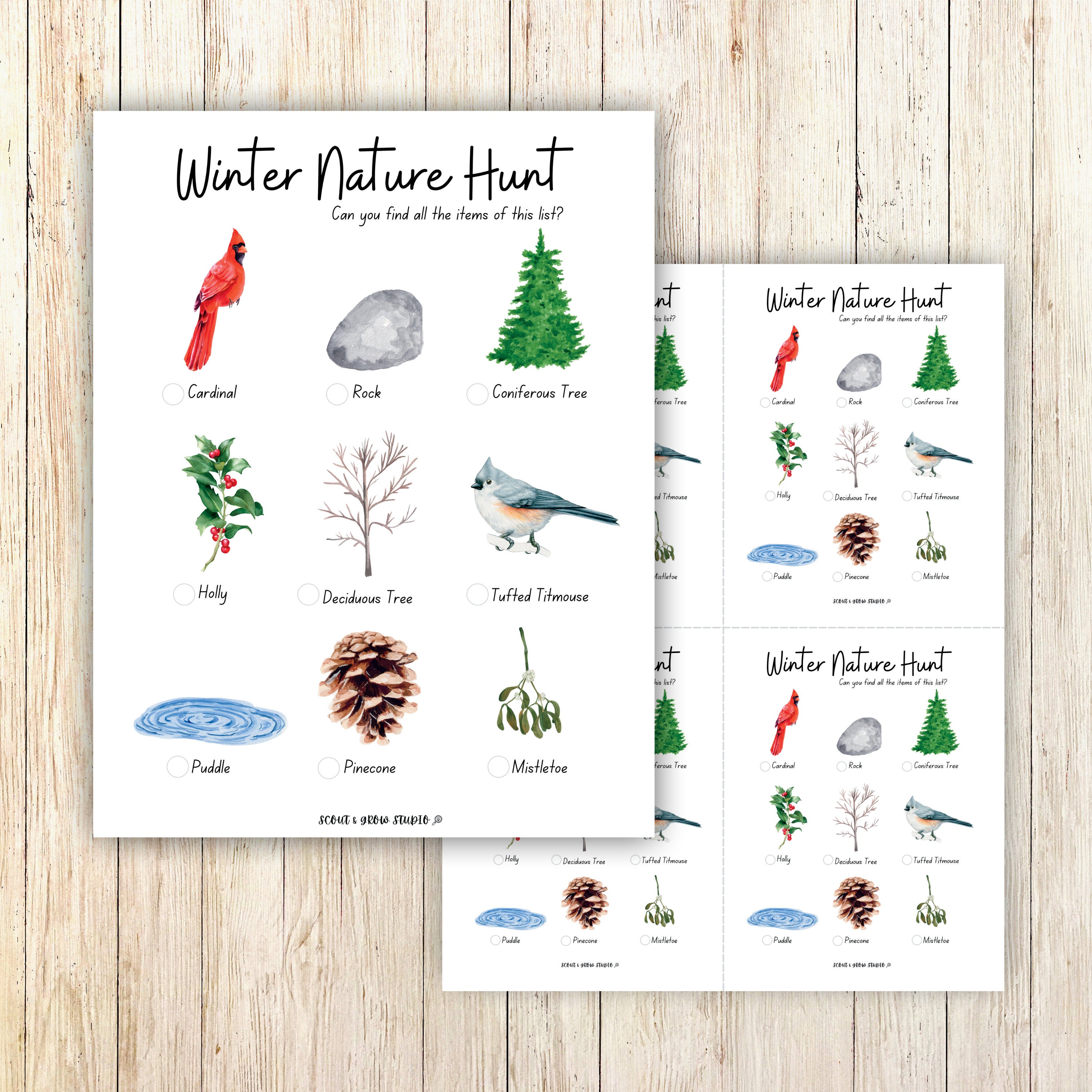 Nature Scavenger Hunt for Kids Nature Study Instant Download Four ...