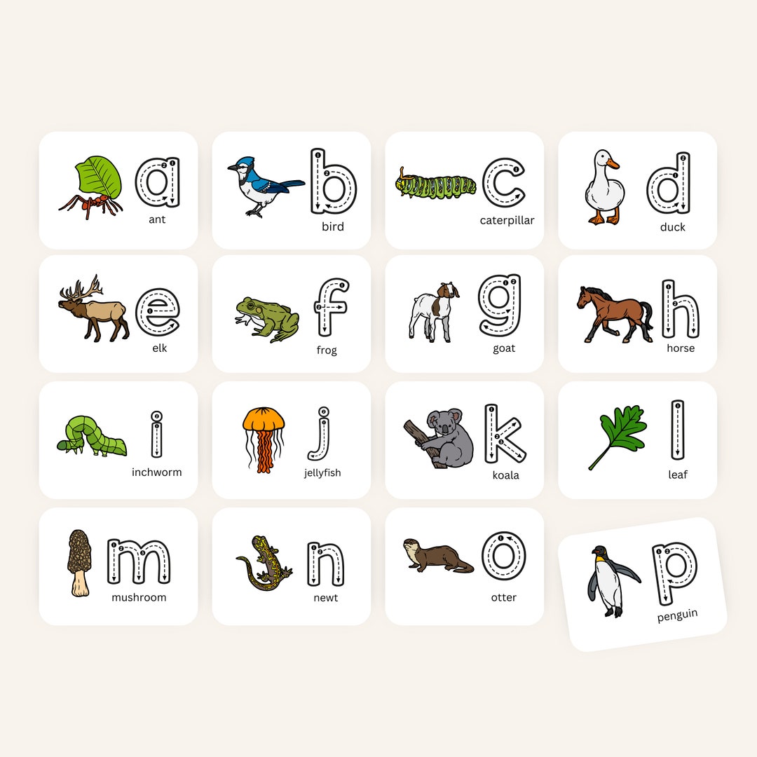 Nature Themed Alphabet Tracing Cards Charlotte Mason Alphabet Cards ...