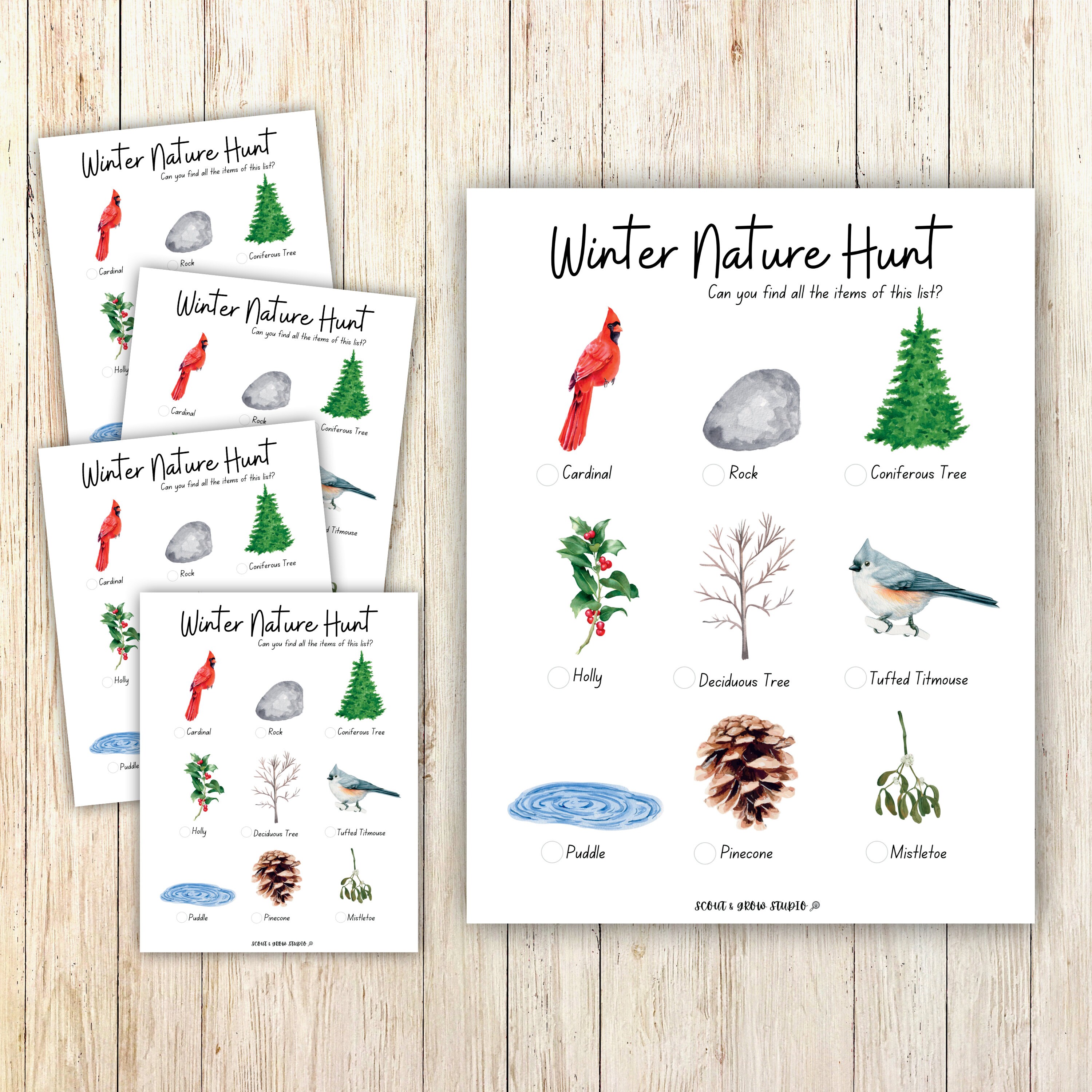 Scavenger Hunt for Kids Winter, Nature Study, Printable PDF, Digital ...