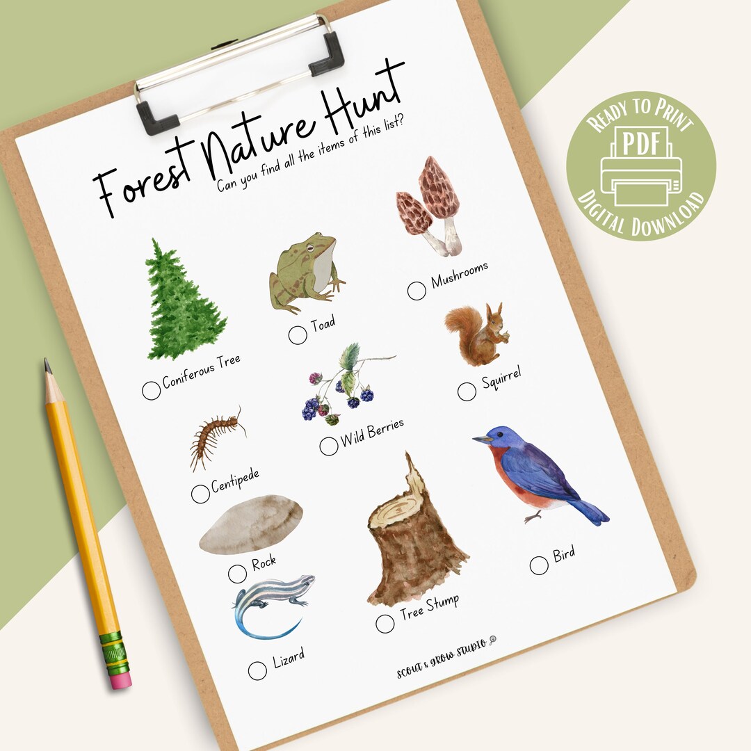 Nature Study Forest Scavenger Hunt for Kids, Nature Scavenger Hunt ...