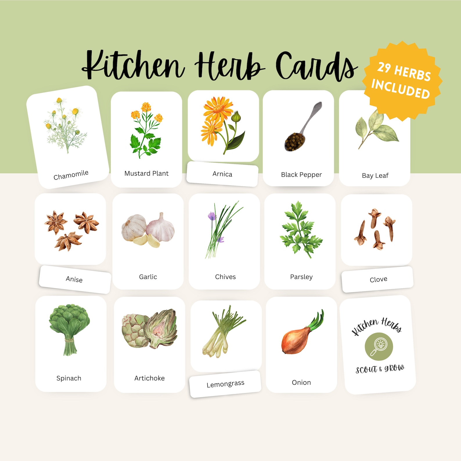 Herb Flash Cards, Printable Montessori Homeschool Resources or ...