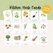 Herb Flash Cards, Printable Montessori Homeschool Resources or ...