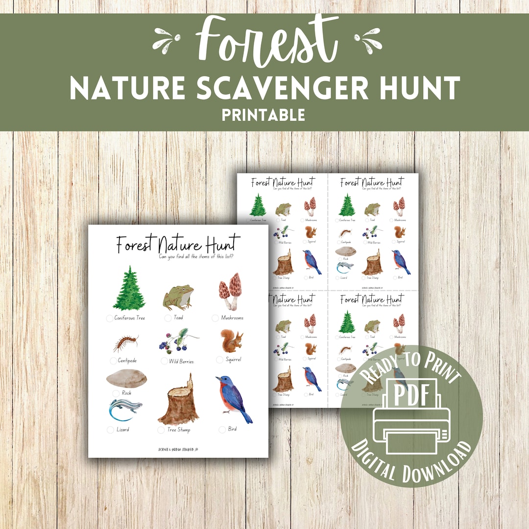 FOREST Nature Scavenger Hunt for Kids Printable PDF Nature - Etsy