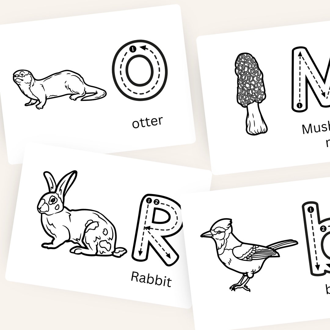 Nature Themed Alphabet Cards for Tracing in Black & White Letter ...
