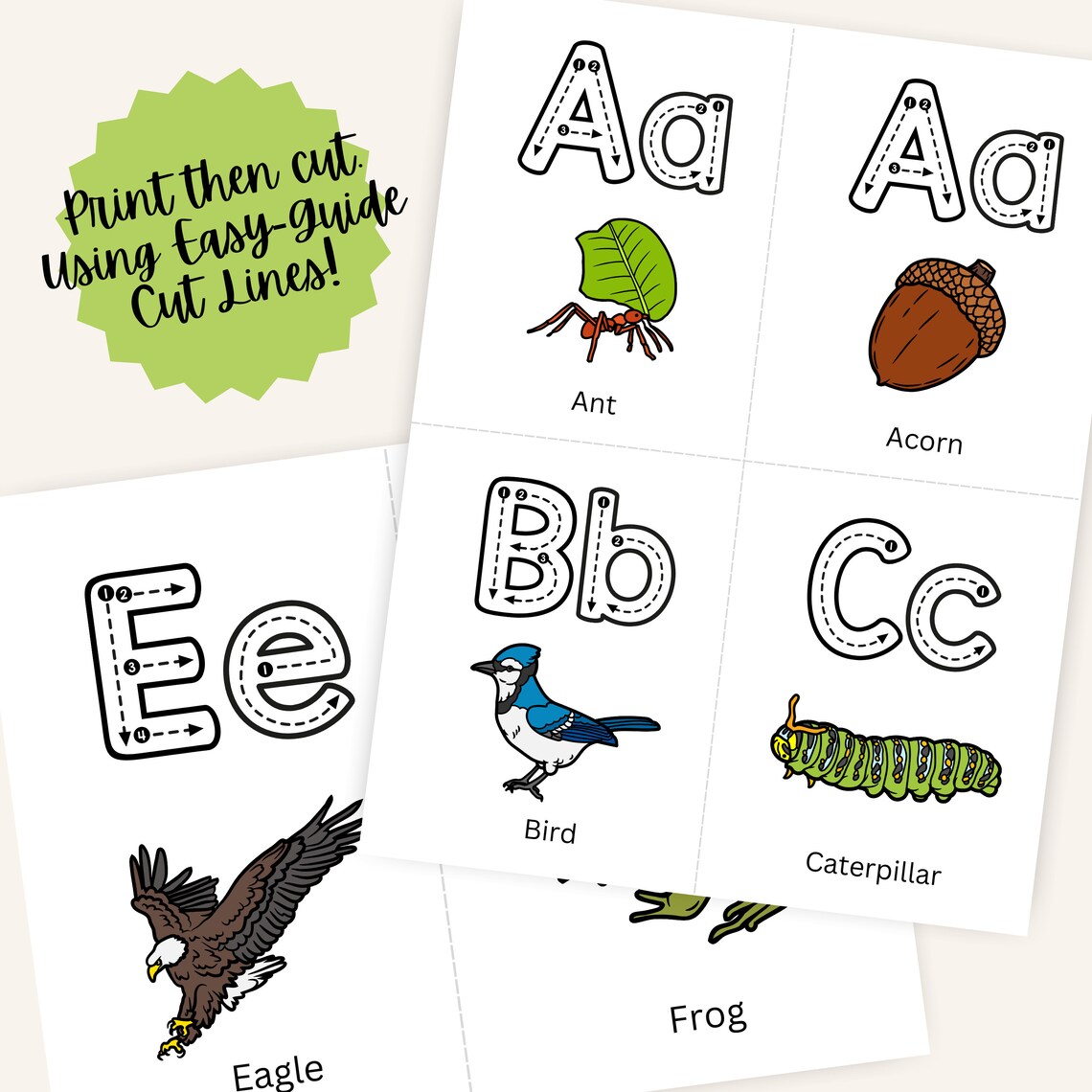 Alphabet Tracing Cards, ABC Flash Cards, Homeschool Printable Nature ...
