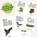 Alphabet Tracing Cards, ABC Flash Cards, Homeschool Printable Nature ...