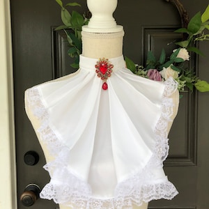 Halloween Vampire Dracula Costume | Red/black Cape | Adult Cape | Men ...