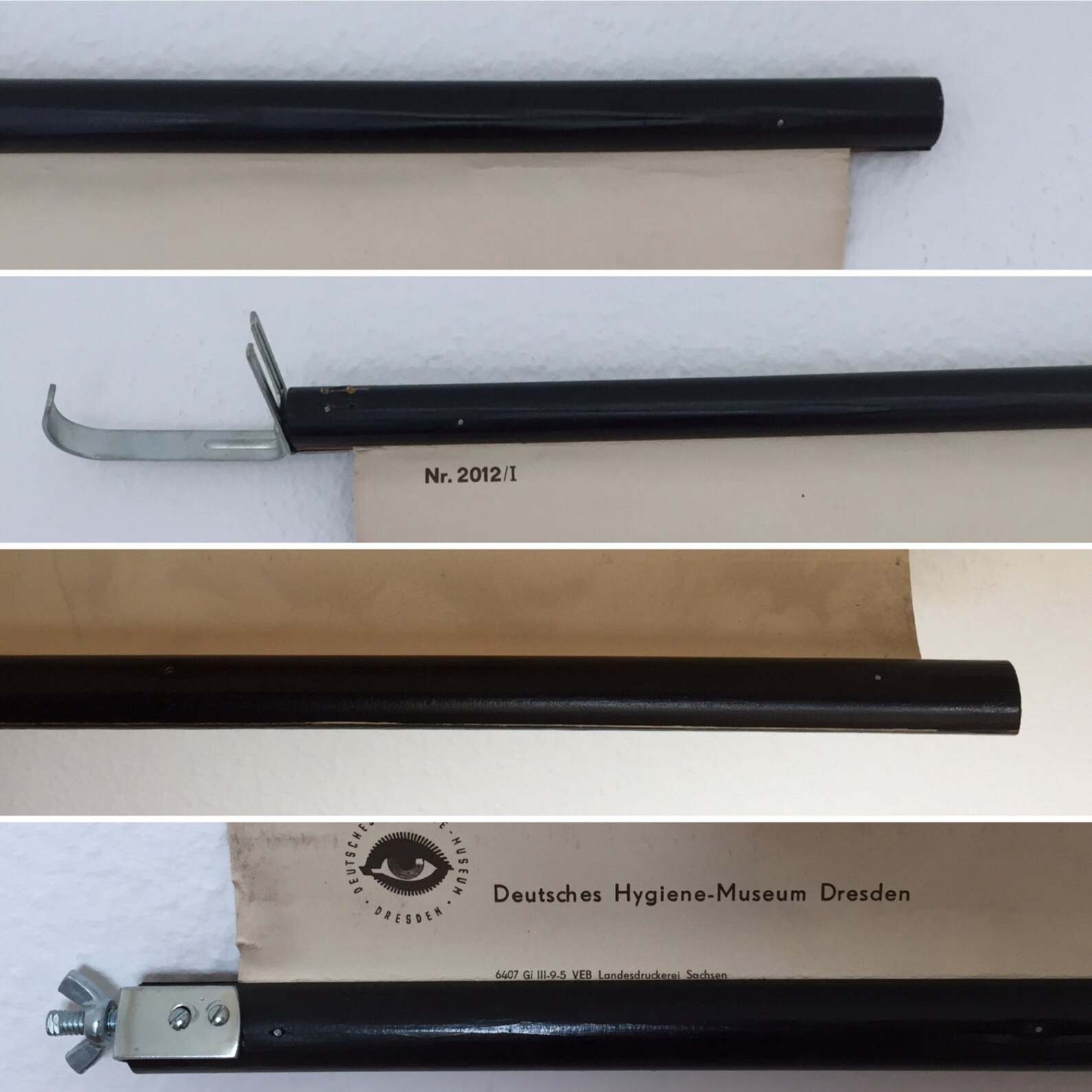 Anatomy Chart Vintage School Chart Pull Down Chart - Etsy