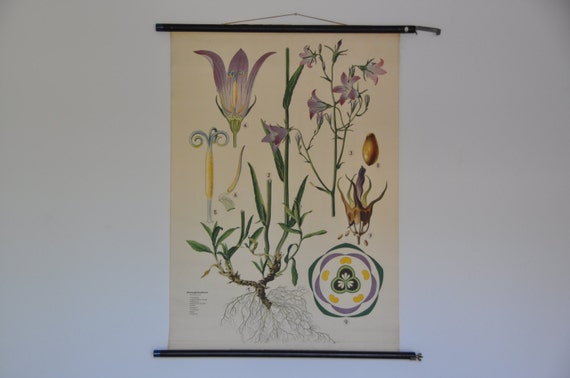 Blue Bell Poster Bluebell Print Bellflower Campanula | Etsy