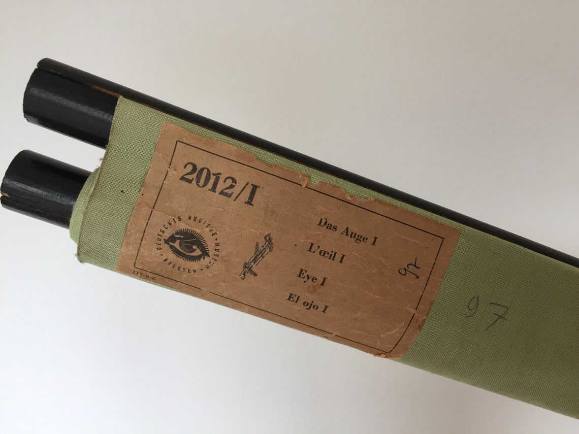 Anatomy Chart Vintage School Chart Pull Down Chart - Etsy