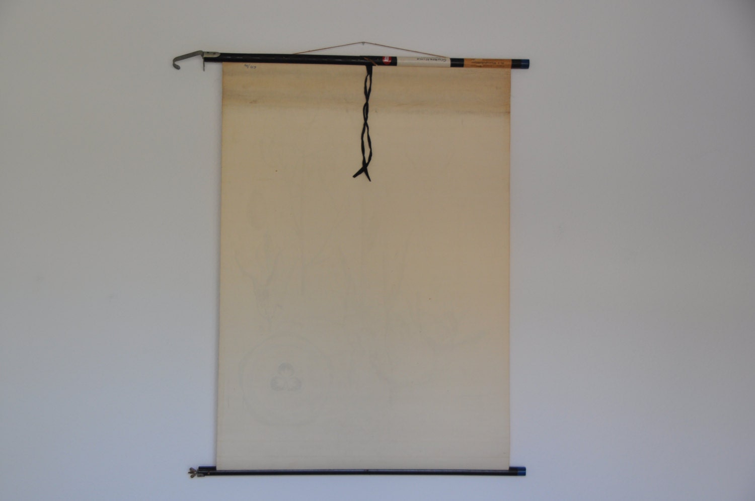 Blue Bell Poster, Bluebell Print, Bellflower, Campanula Patula, Vintage ...