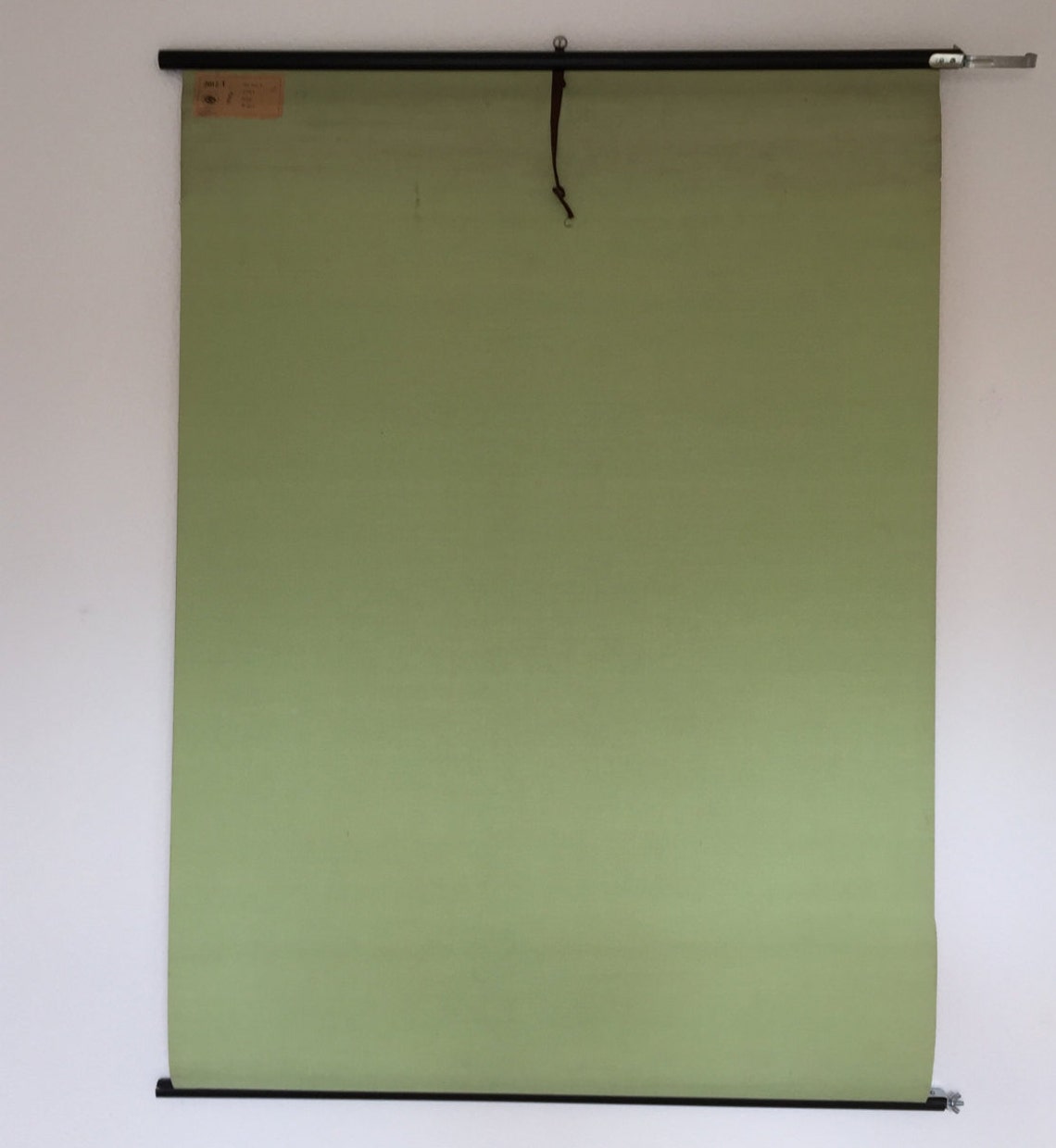 Anatomy Chart Vintage School Chart Pull Down Chart - Etsy