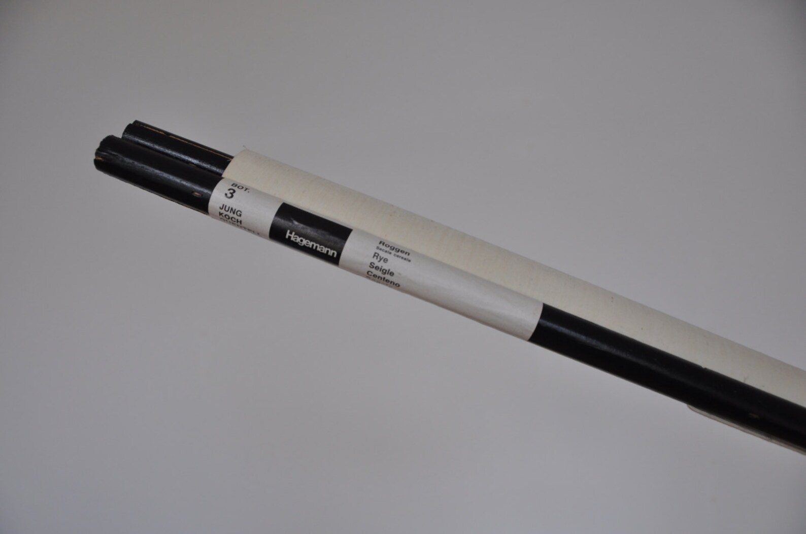 Rye Print Vintage Botanical Print Pull Down School Chart - Etsy