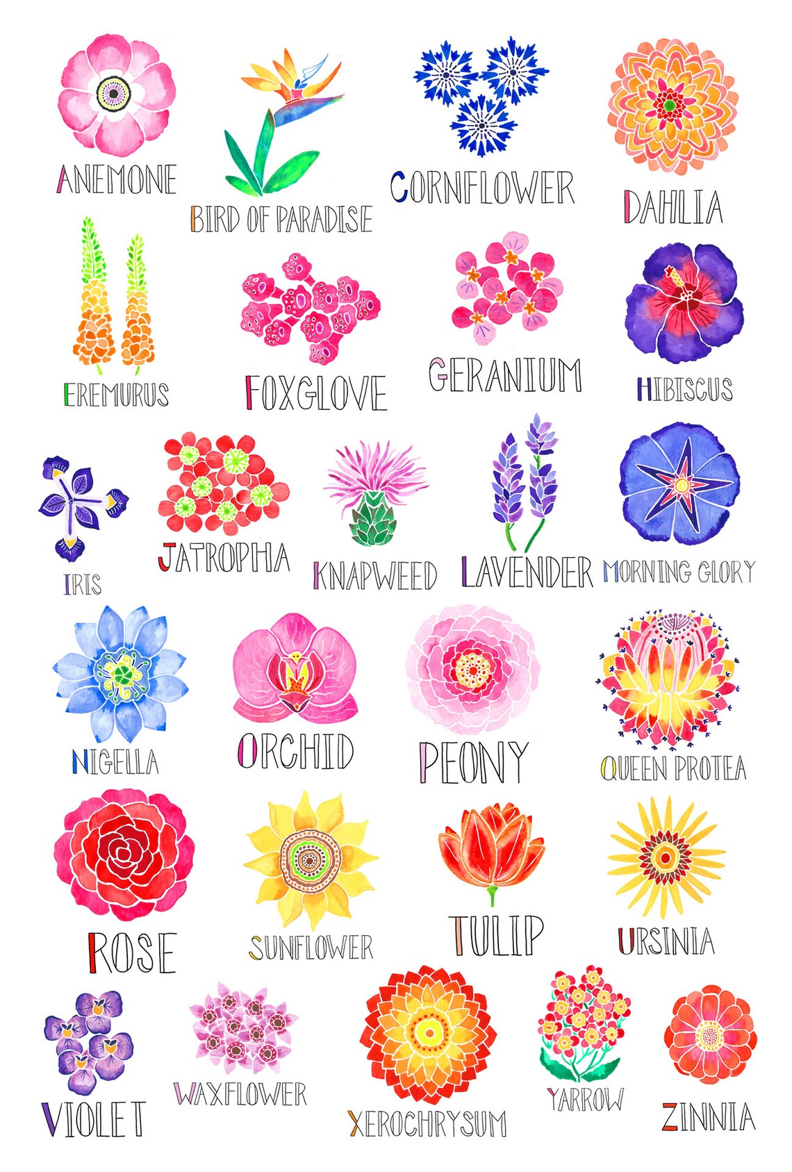 Floral Alphabet Poster - Etsy